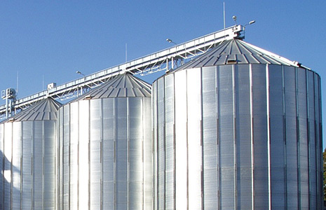 SAGO needs new mill every 30 months to meet demand: CEO