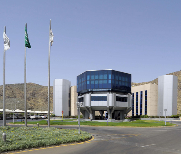 Najran Cement: Fransi Capital failed to consult us before issuing 2016 ...