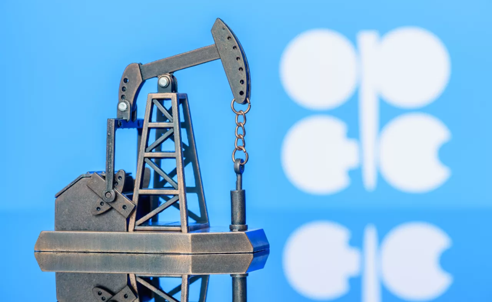 OPEC+ needs to control oil supplies for 5 more years: Report